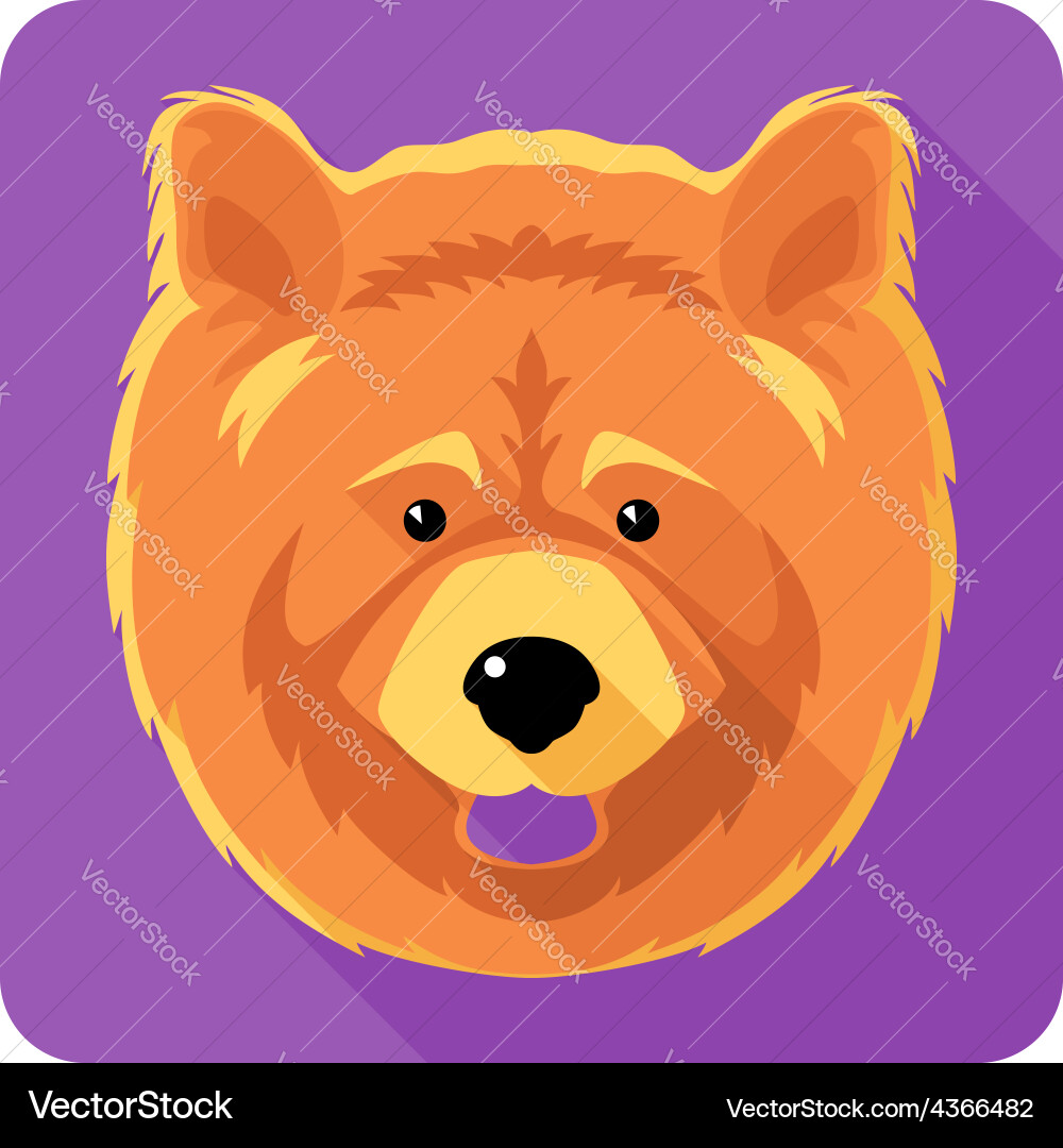 Dog chow-chow icon flat design Royalty Free Vector Image