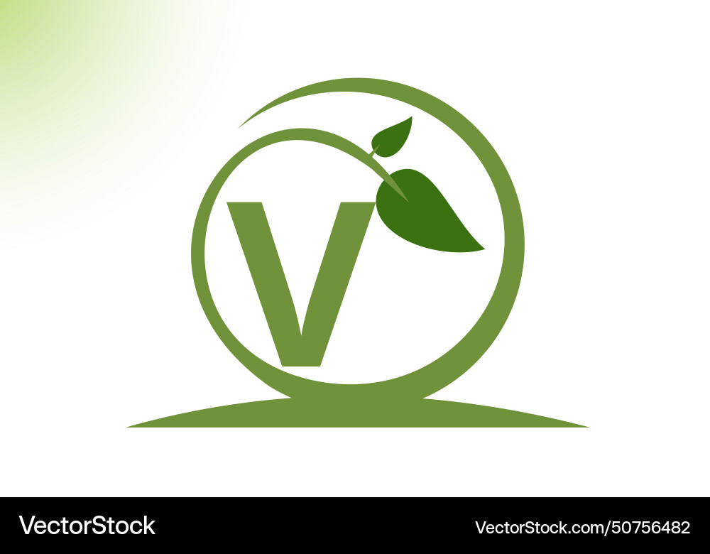 Letter v leaf logo design template Royalty Free Vector Image