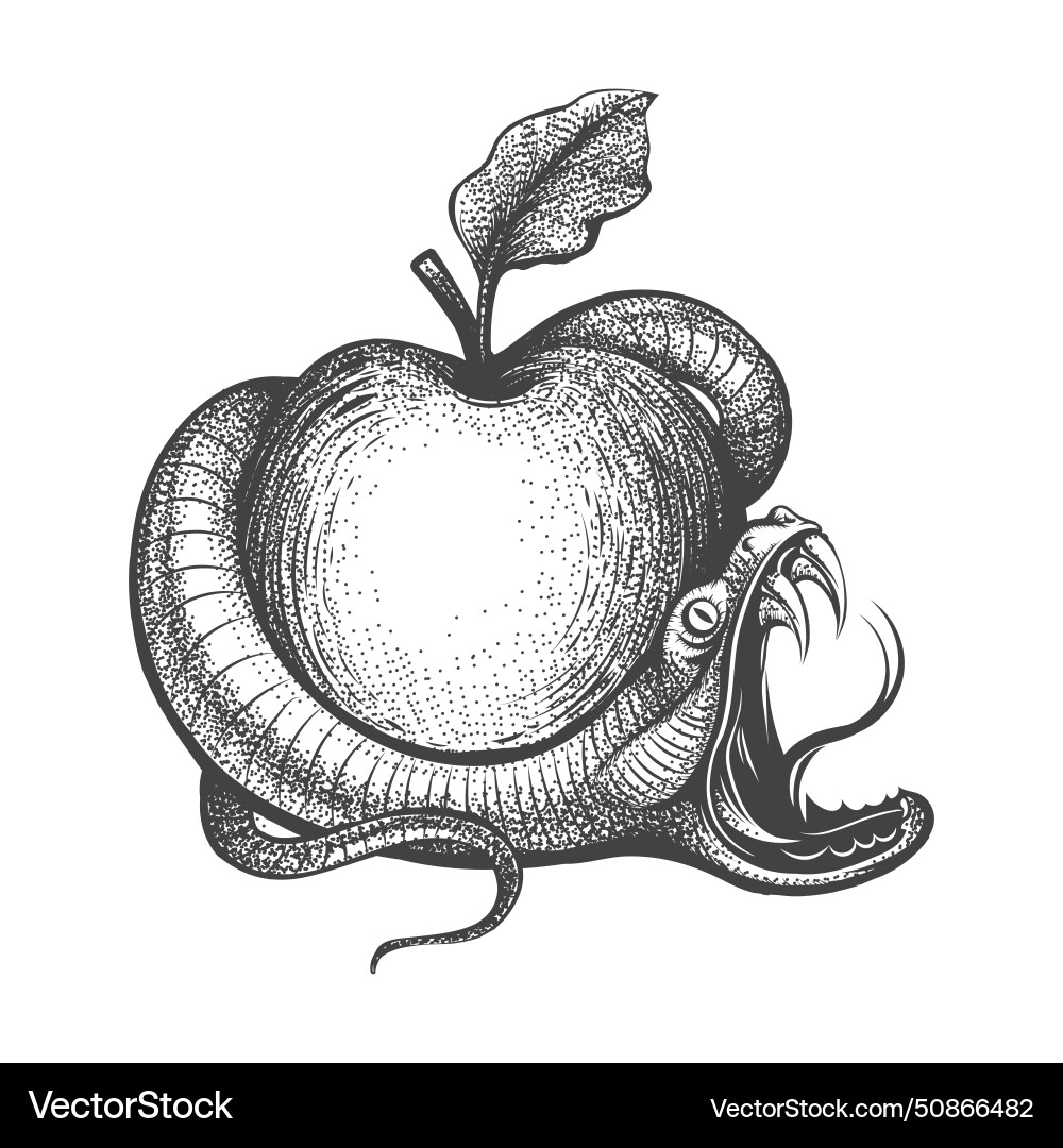 Snake entwined around apple engraving tattoo Vector Image