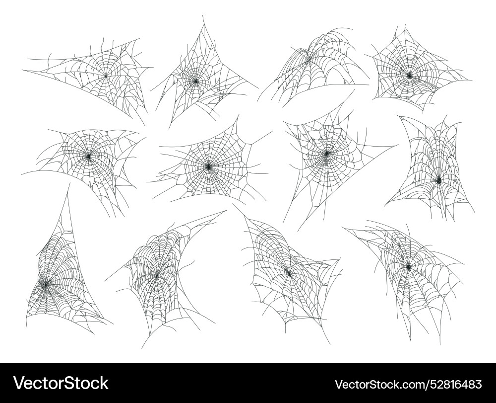 Horror spider web halloween cobweb decor Vector Image
