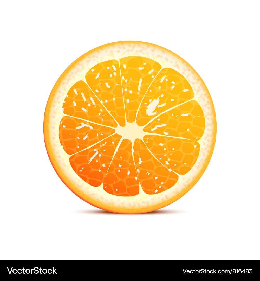 Orange Royalty Free Vector Image - VectorStock