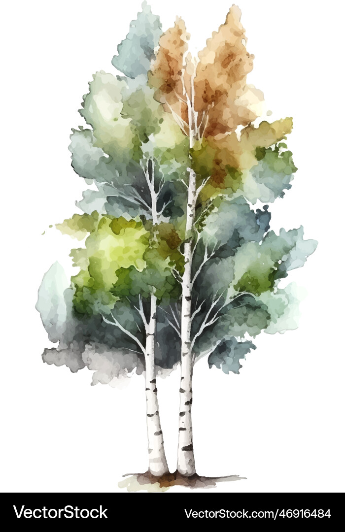 Aquarell Birken Bäume russland Baum Design Element