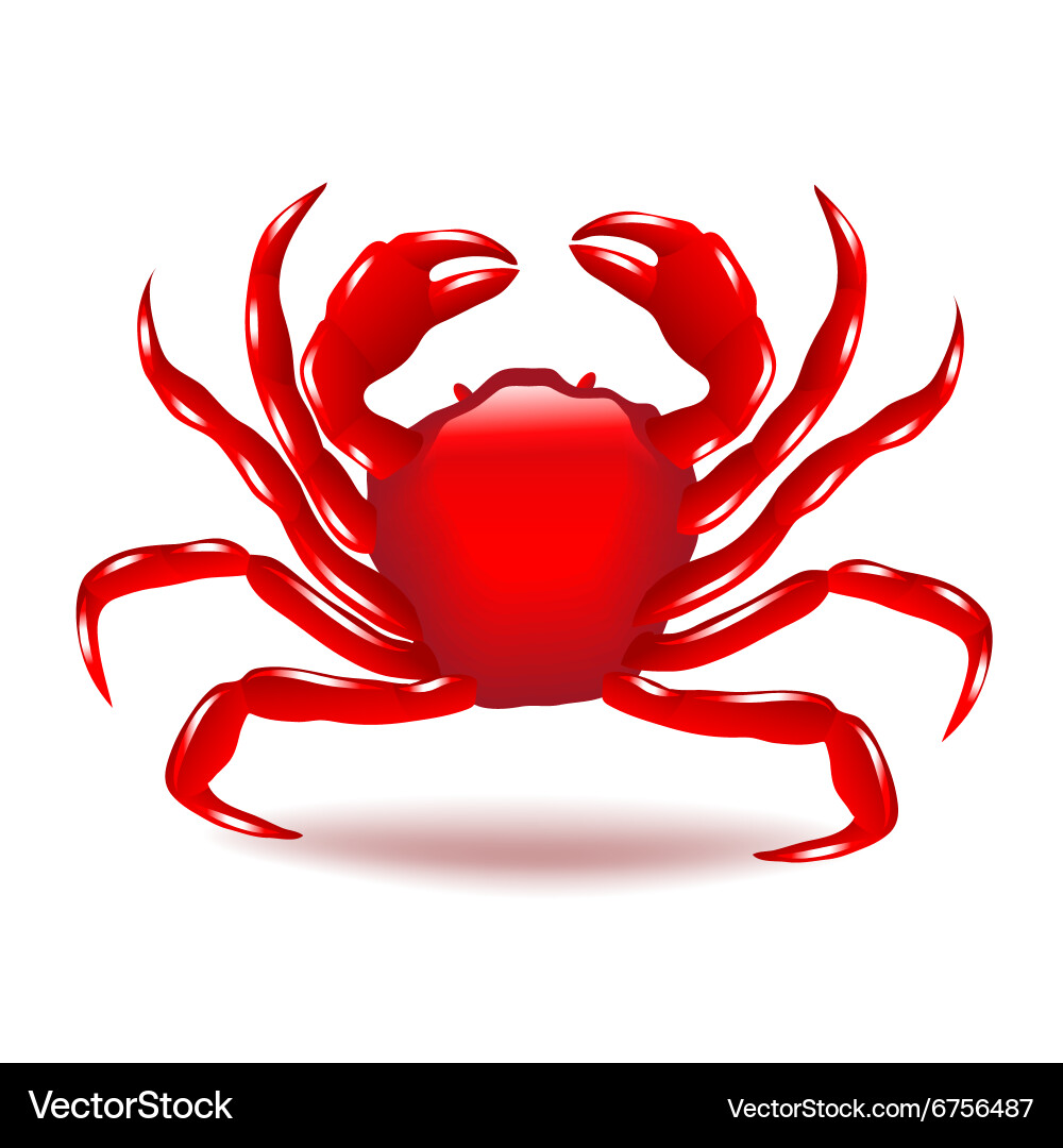 Crab isolated on white Royalty Free Vector Image