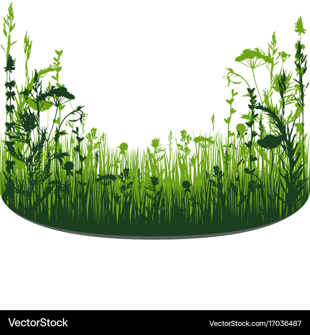Herbal silhouette background Royalty Free Vector Image