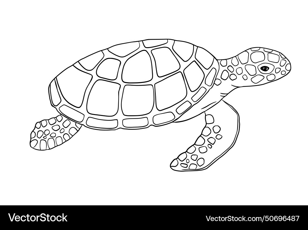 Outline sea turtle isolated on white Royalty Free Vector