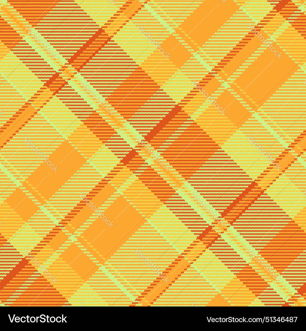 Plaid textile fabric of seamless background Vector Image