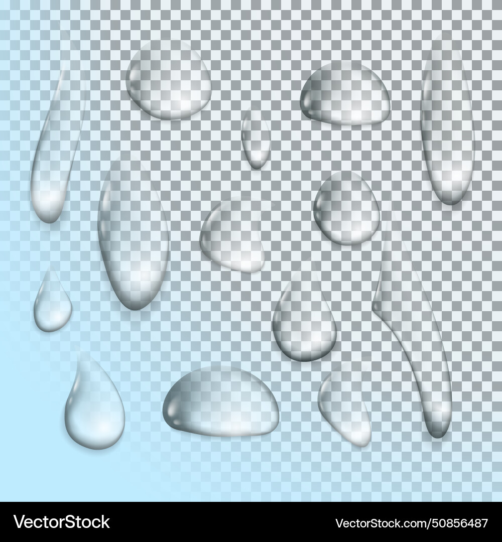 Set of water droplets on isolated Royalty Free Vector Image