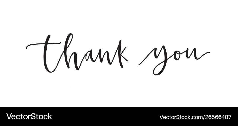 Thank you word or message written with cursive Vector Image