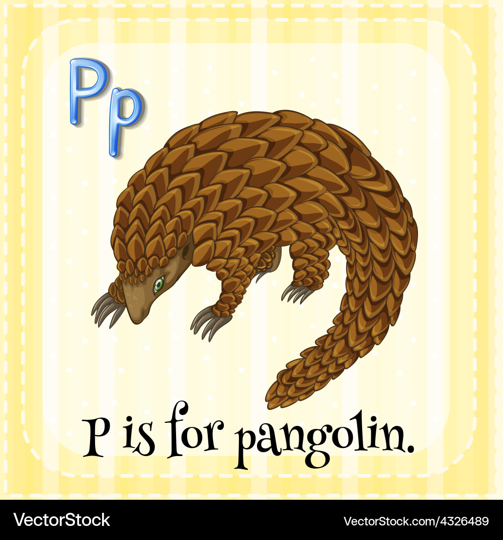 Alphabet p Royalty Free Vector Image - VectorStock