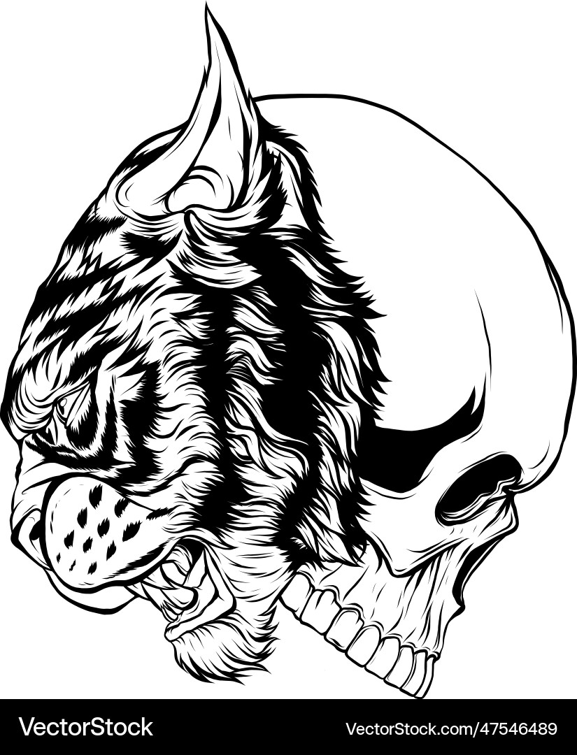 Black and white tiger face Royalty Free Vector Image