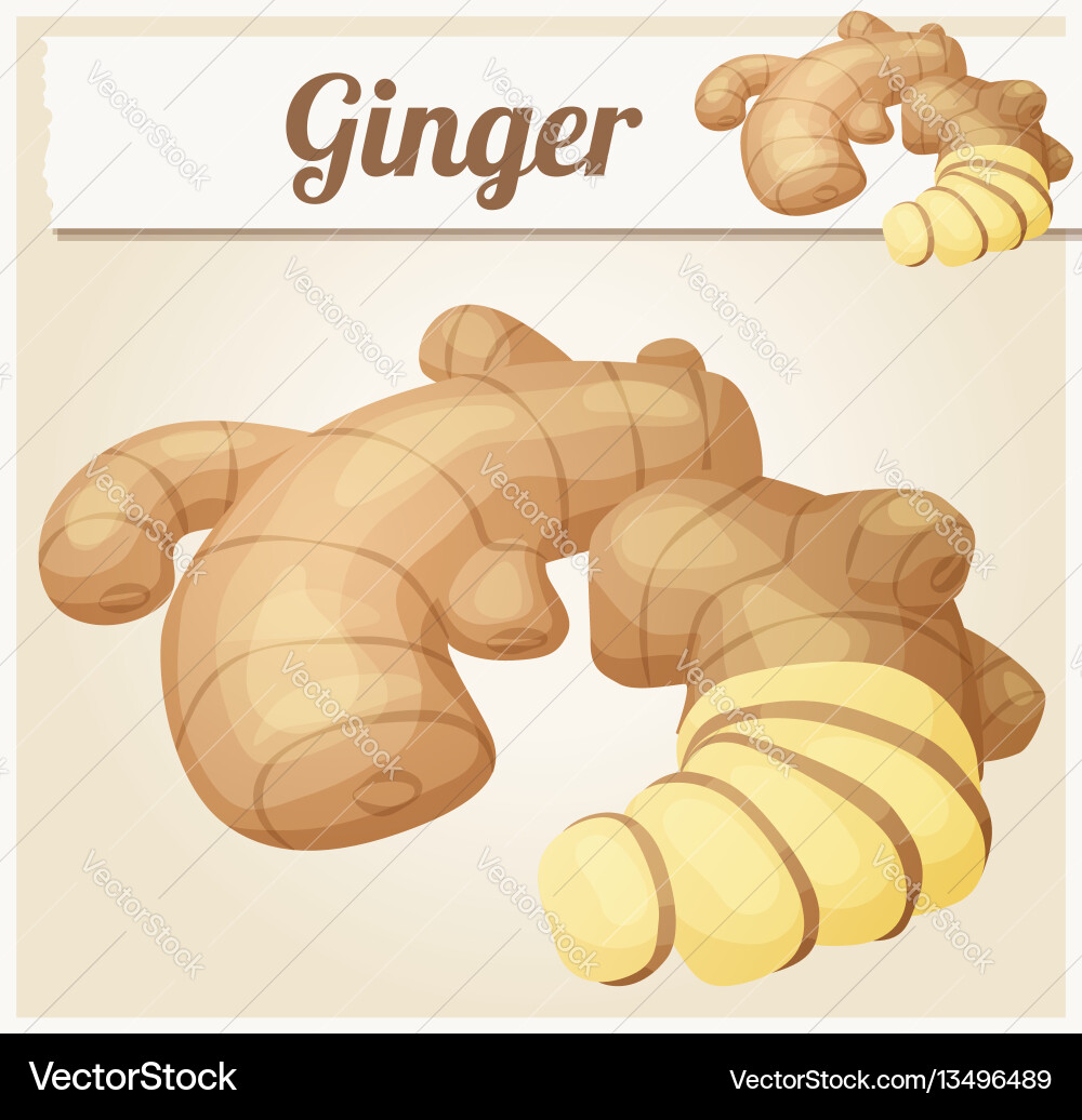 Ginger root cartoon icon Royalty Free Vector Image