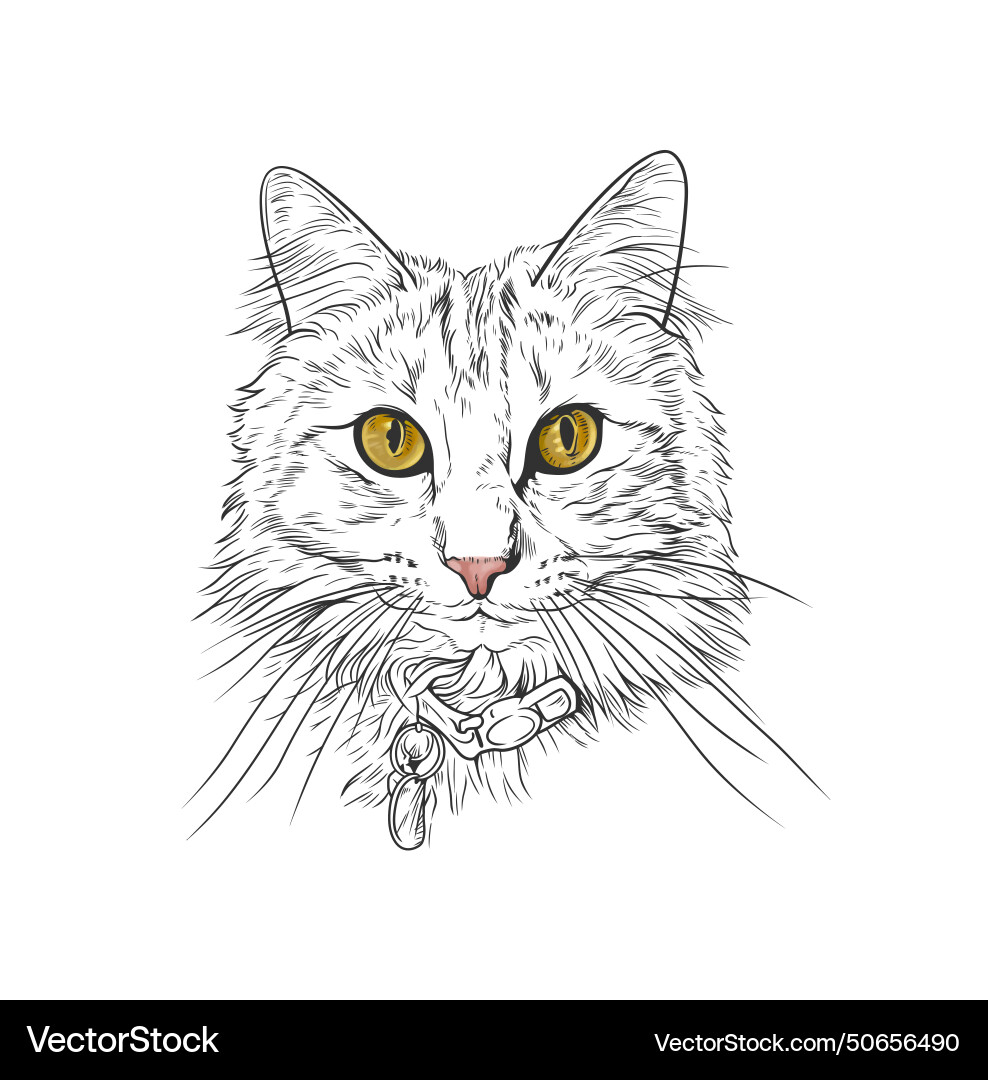 Cute cat head line art Royalty Free Vector Image