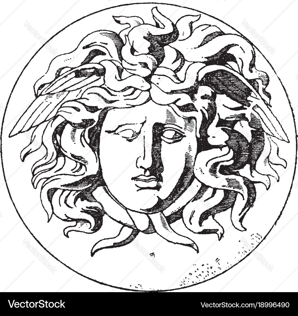 Medusa Head Line Art Royalty Free Vector Image