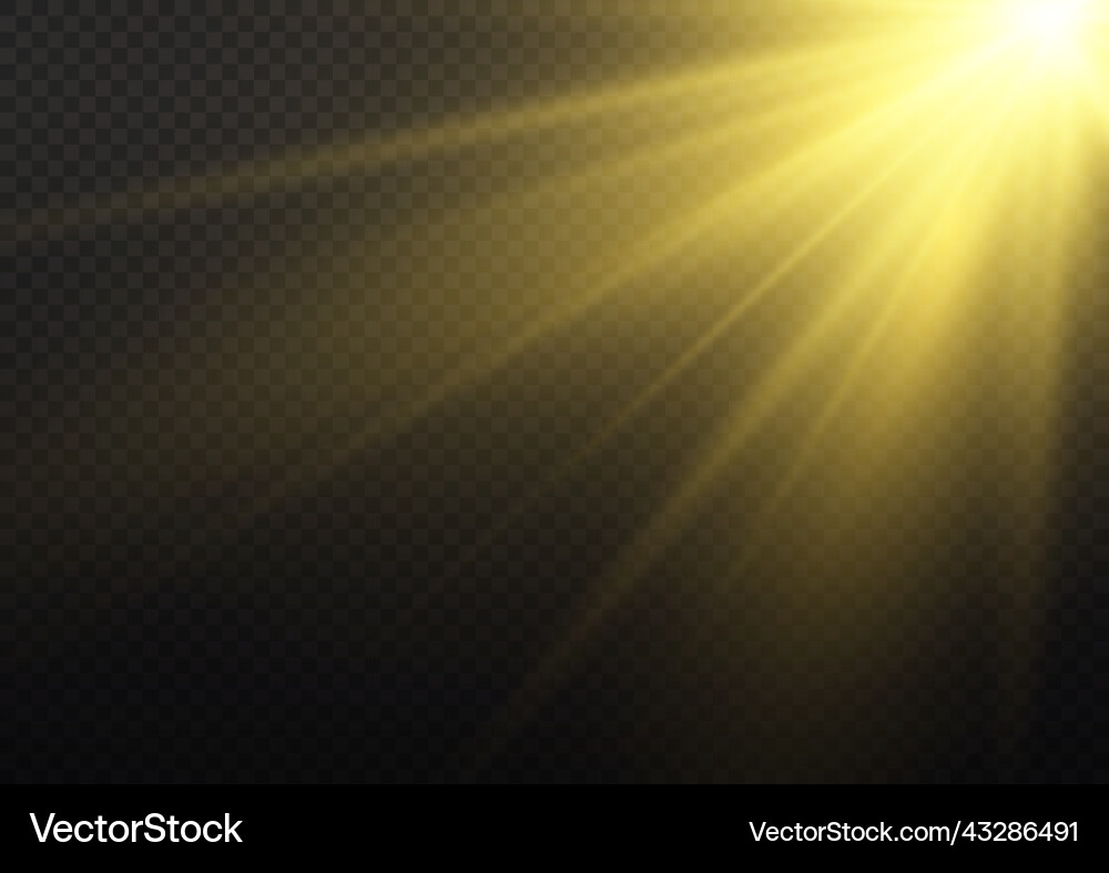 Gold sun rays light star flare glare sparkles Vector Image