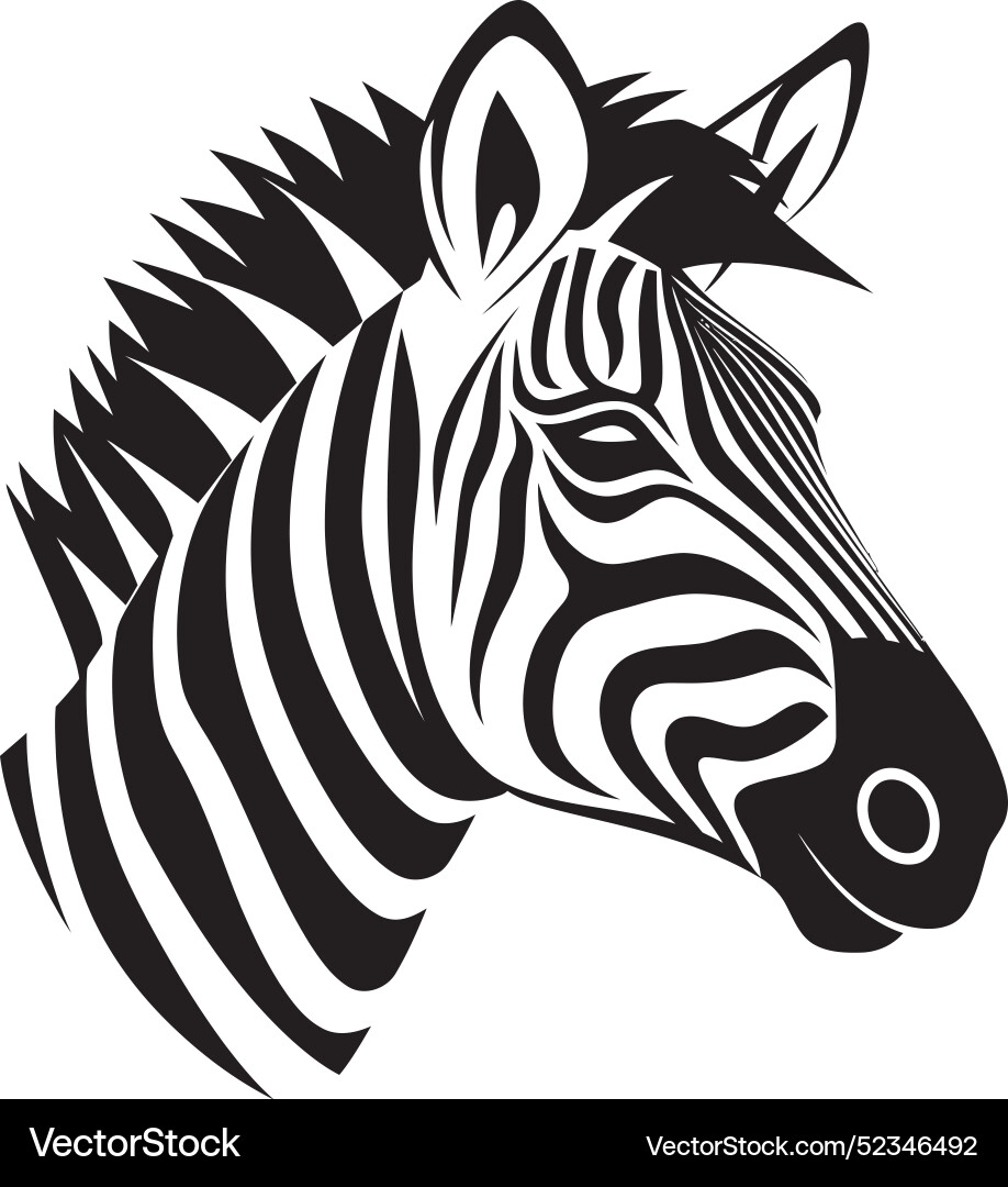 Elegant monochrome zebra editionabstract lines Vector Image