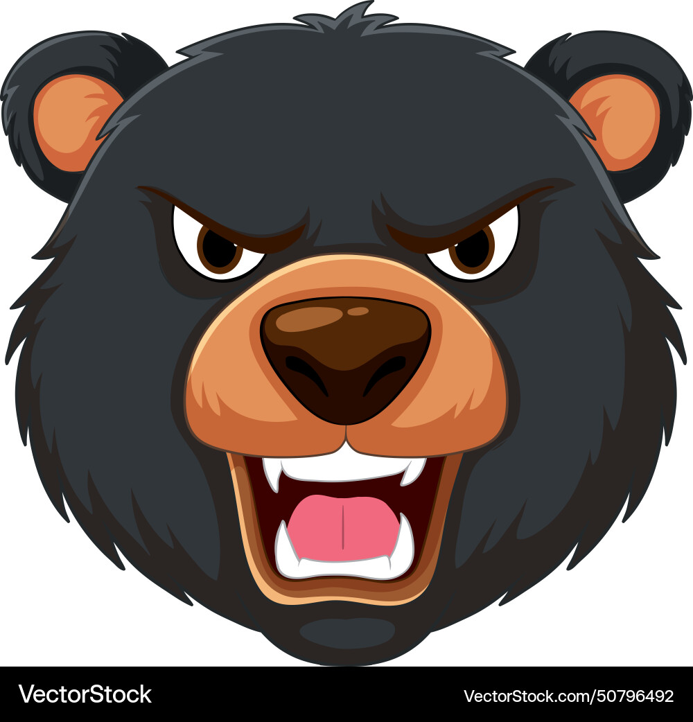 Graphic of an angry bear face Royalty Free Vector Image