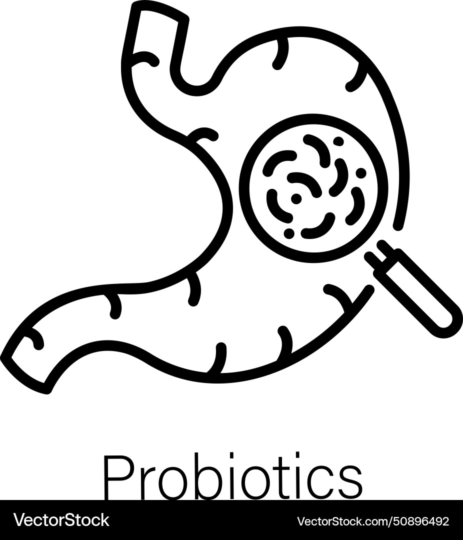 Probiotics Royalty Free Vector Image - VectorStock