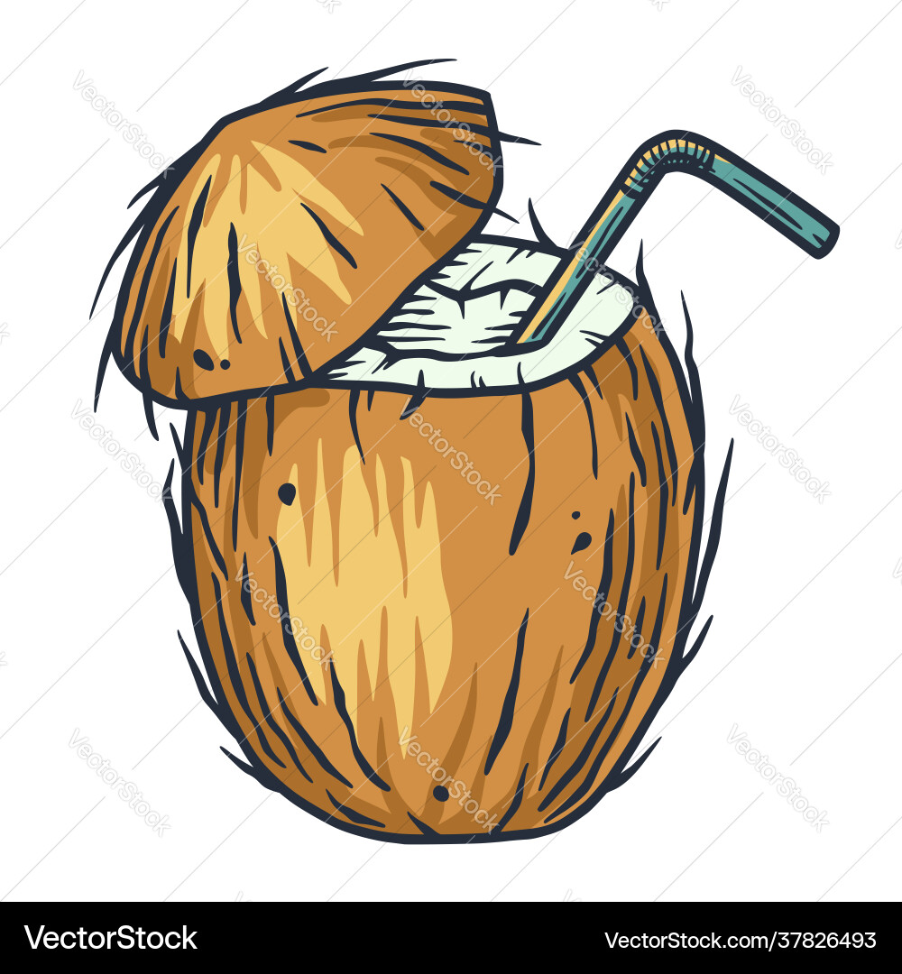 Coconut cocktail tropical beach bar summer coco Vector Image