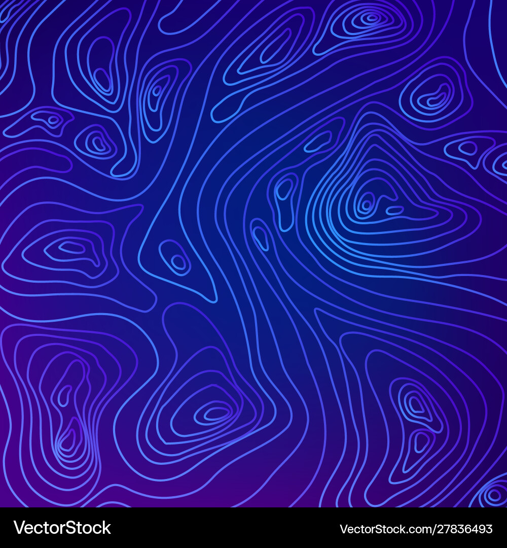 Topography landscape outline cartography Vector Image
