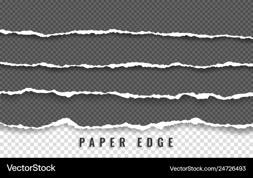 Torn paper edge stripes ripped squared Royalty Free Vector