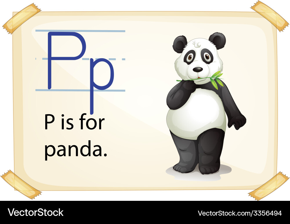 A letter p for panda Royalty Free Vector Image