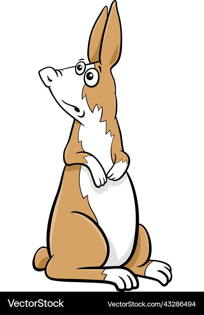 Cartoon dwarf rabbit comic character standing up Vector Image