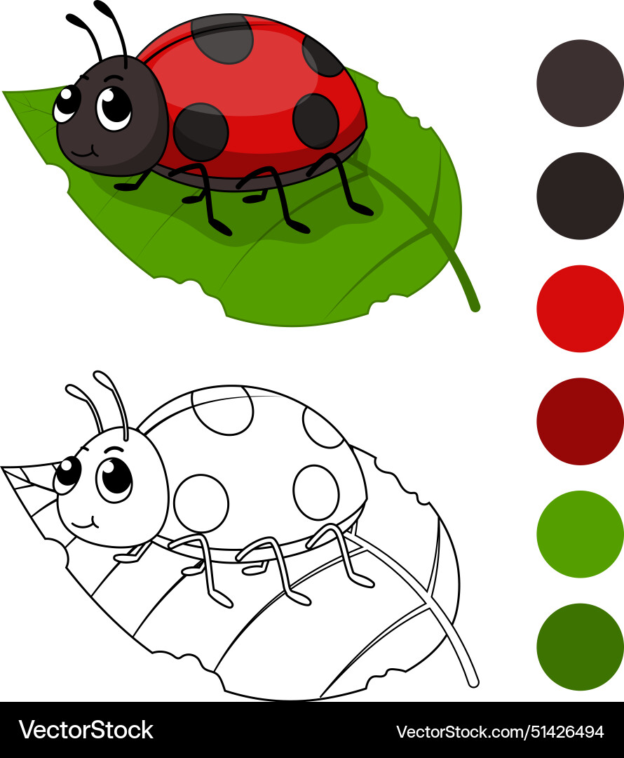 Kids coloring book ladybug cartoon Royalty Free Vector Image