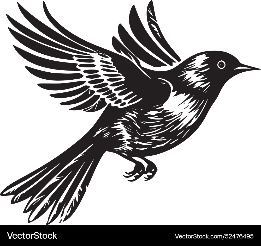 Bird - high quality logo ideal for t-shirt Vector Image
