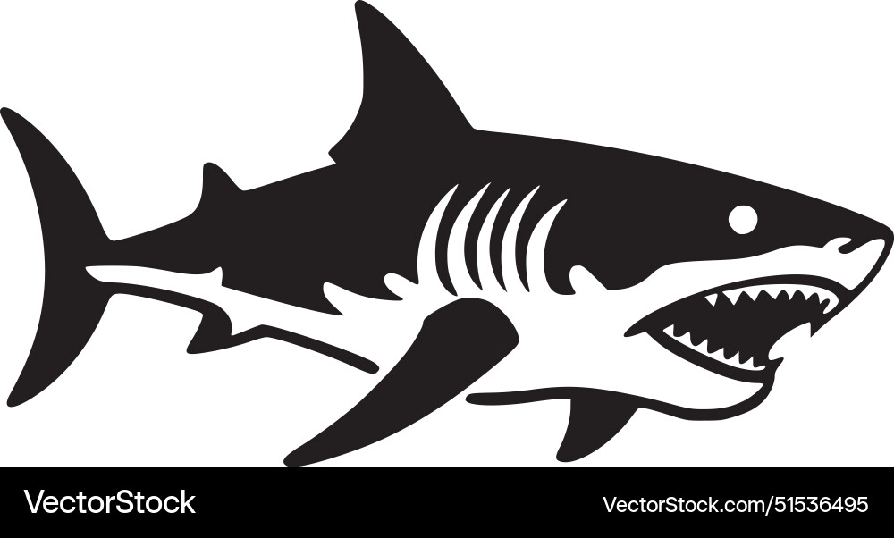 Shark - minimalist and simple silhouette Vector Image