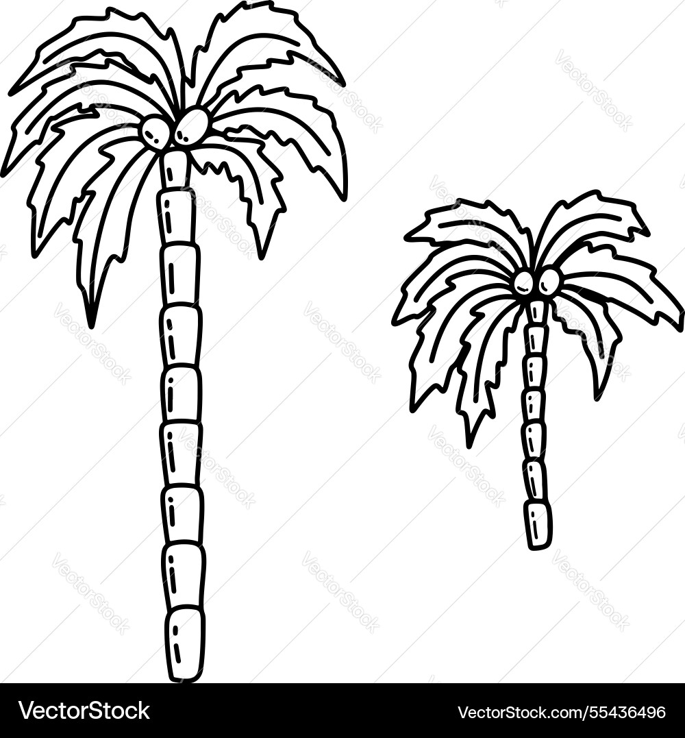 Set of hand drawn palm trees doodle style Vector Image