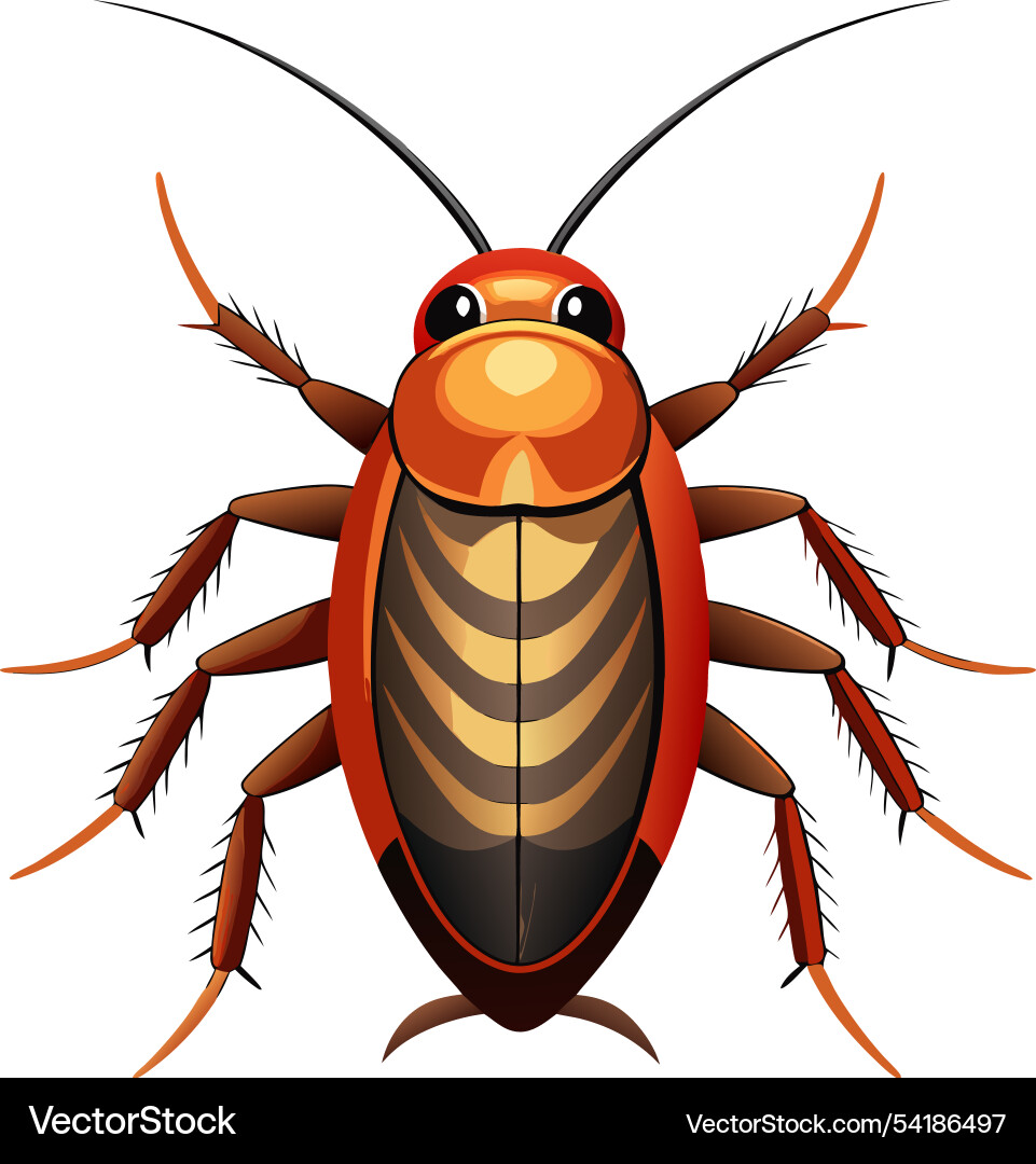 Cockroach art 3 Royalty Free Vector Image - VectorStock