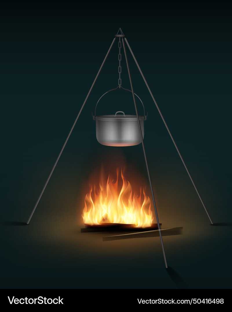 Camping pot on bonfire Royalty Free Vector Image