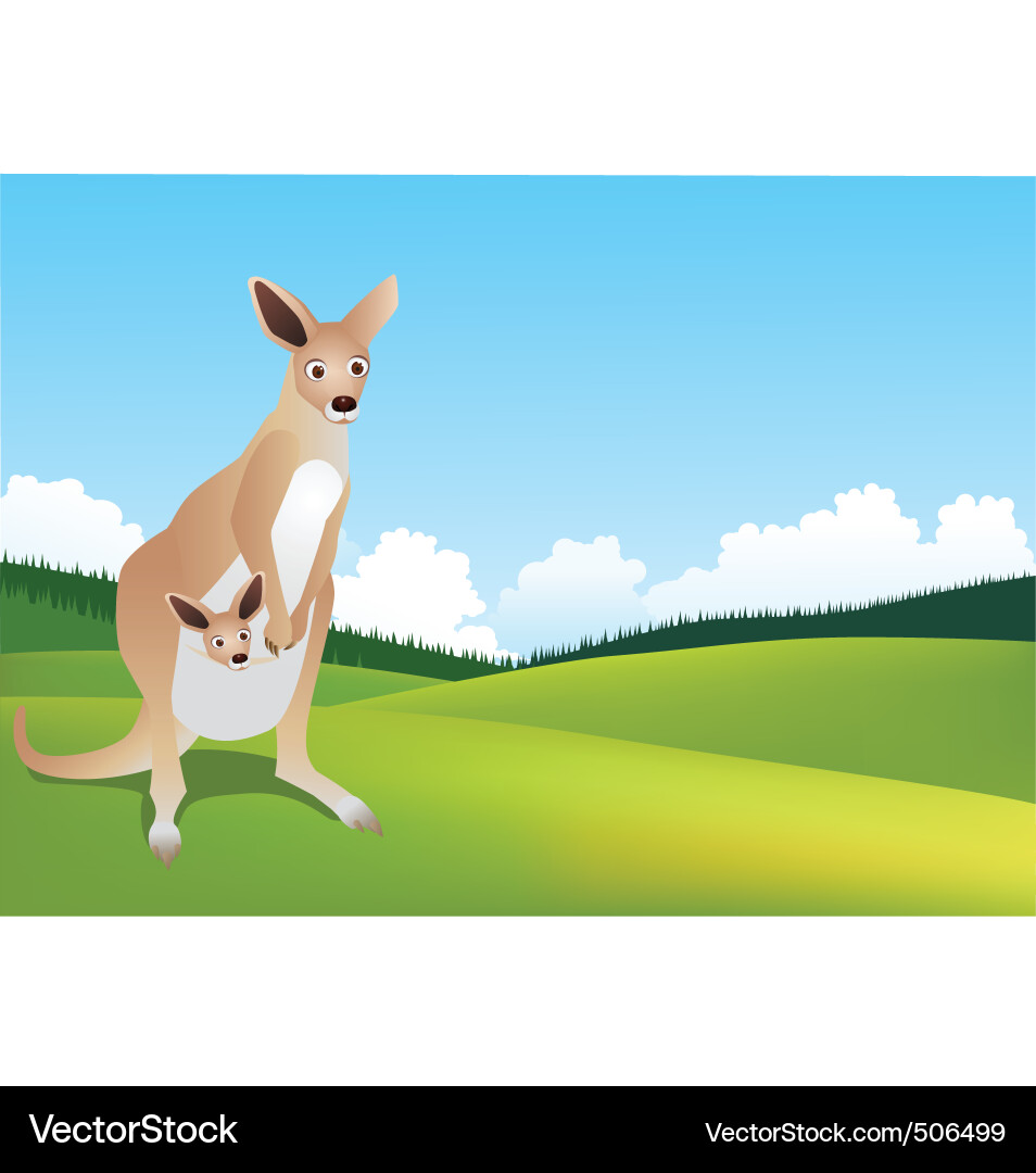 Kangaroo Royalty Free Vector Image - VectorStock