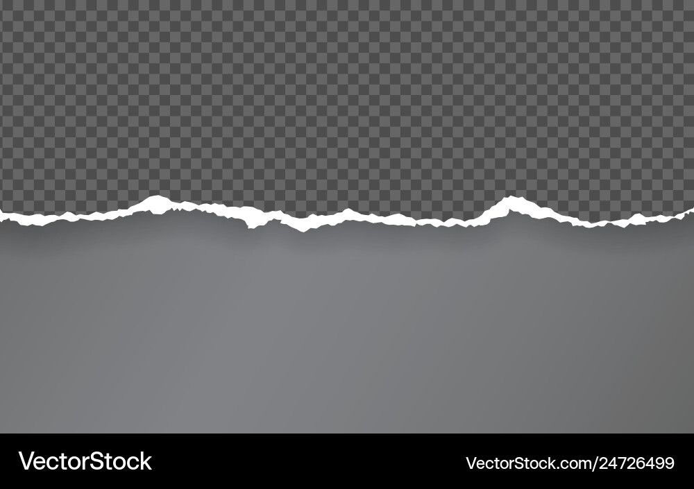 Torn paper edge stripes ripped squared Royalty Free Vector