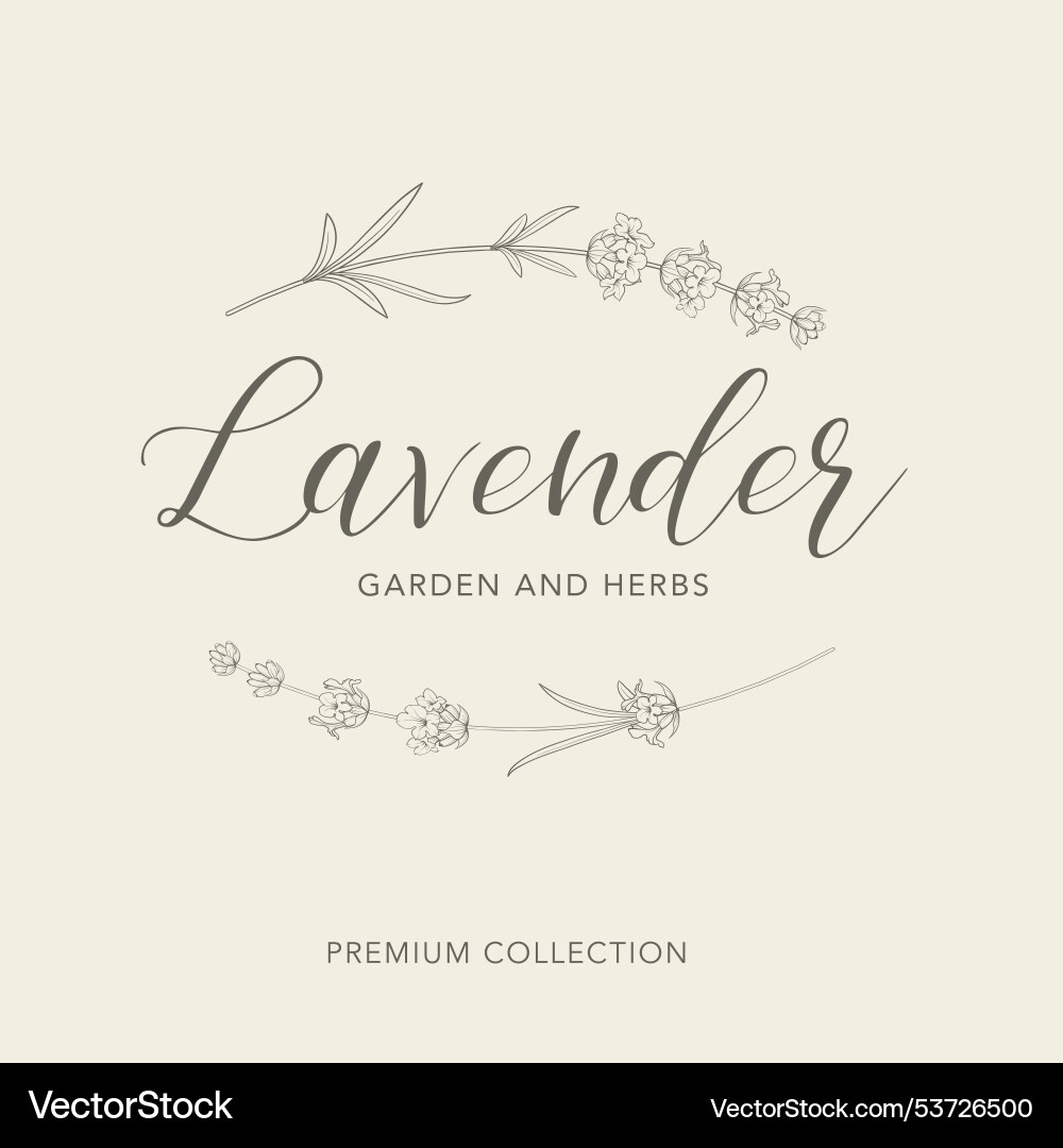 Lavender flower logo floral design label Vector Image