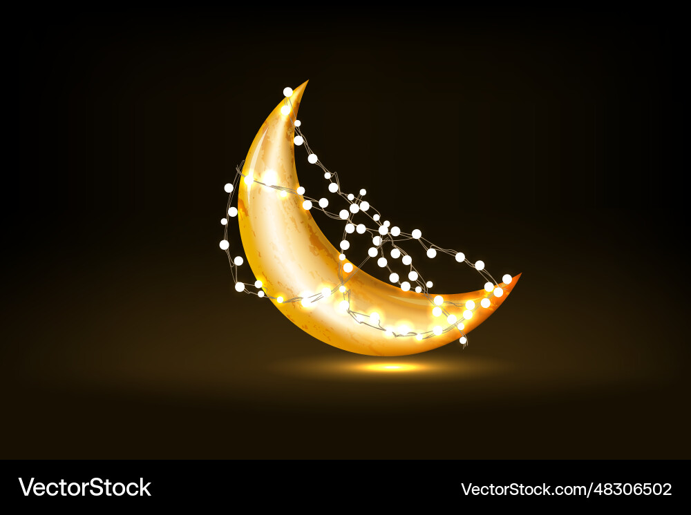 3d crescent moon decorated by lighting garland Vector Image
