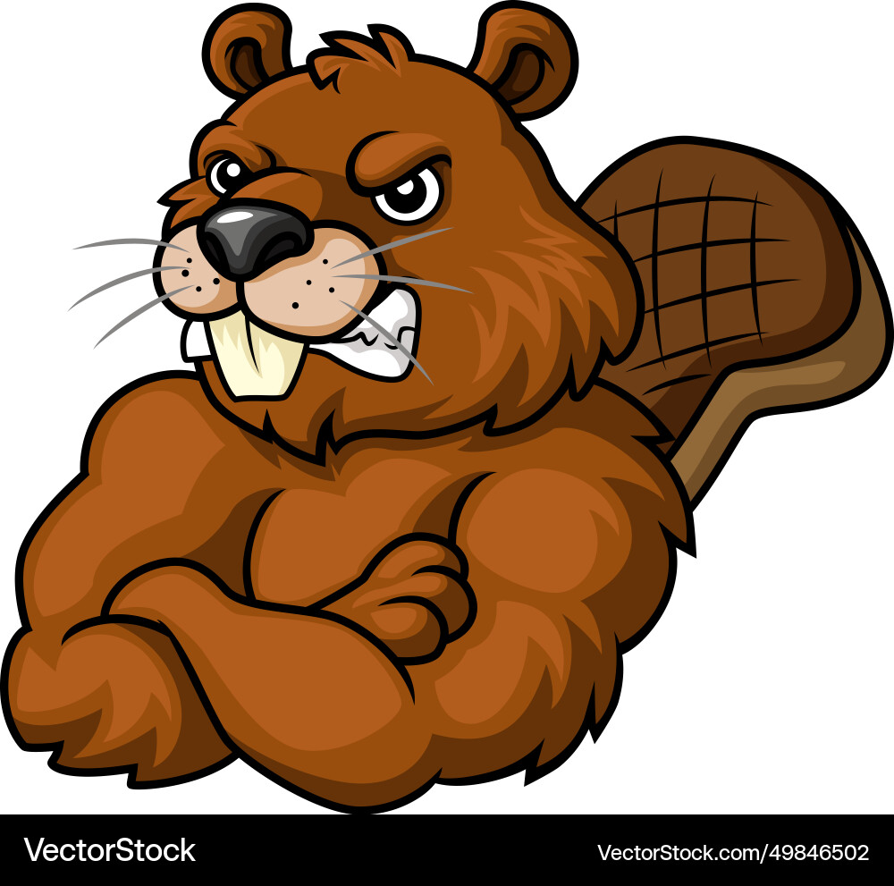 Angry beaver cartoon on white background Vector Image