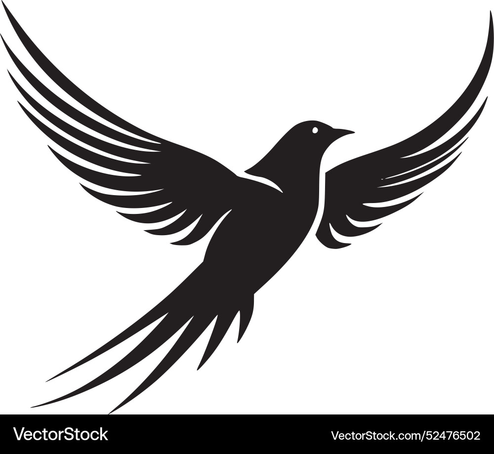 Birds - black and white Royalty Free Vector Image