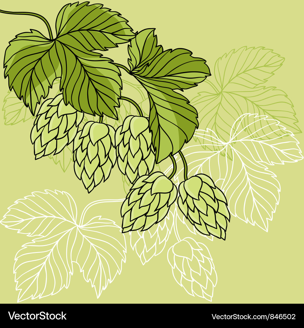 Malt Pattern Vector Images (over 1,600)
