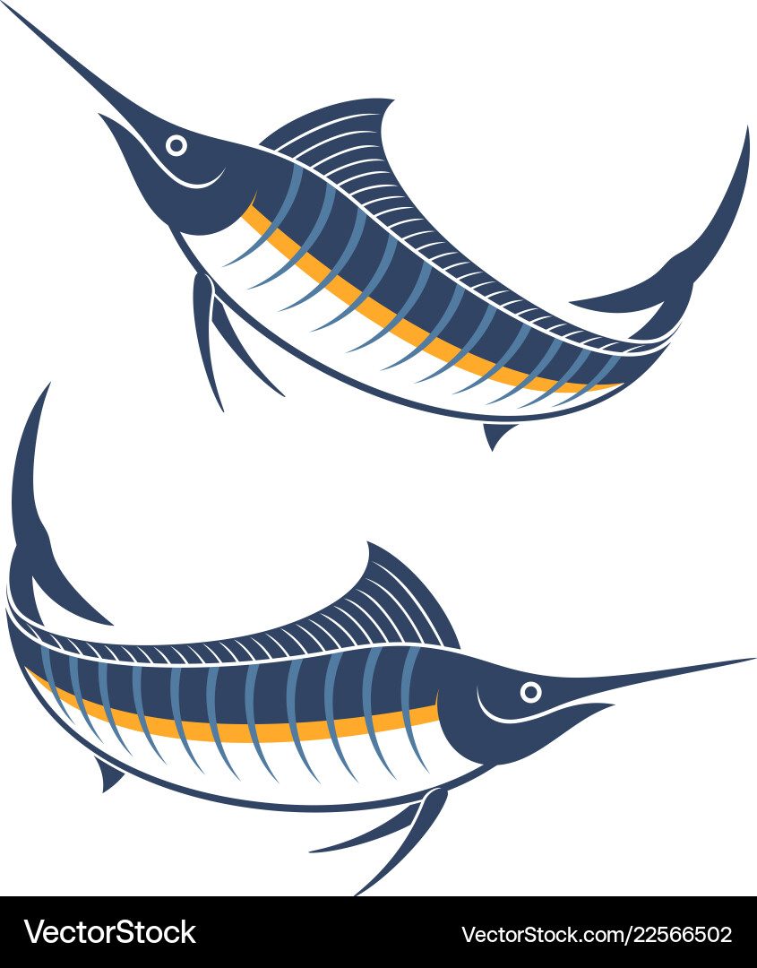 Marlin Royalty Free Vector Image - VectorStock