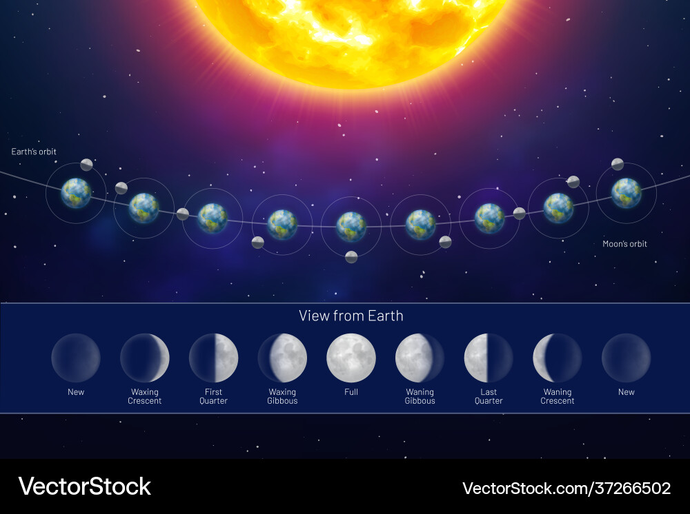 Phases Of The Moon Visible From Earth