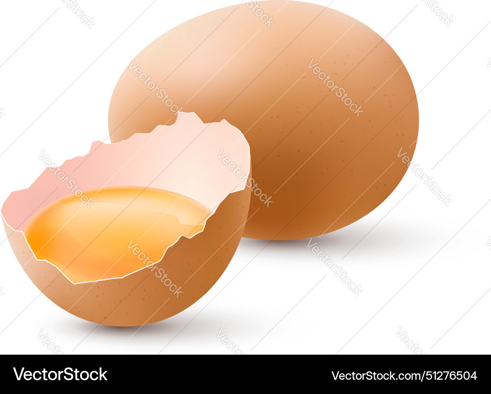 Chicken eggs Royalty Free Vector Image - VectorStock