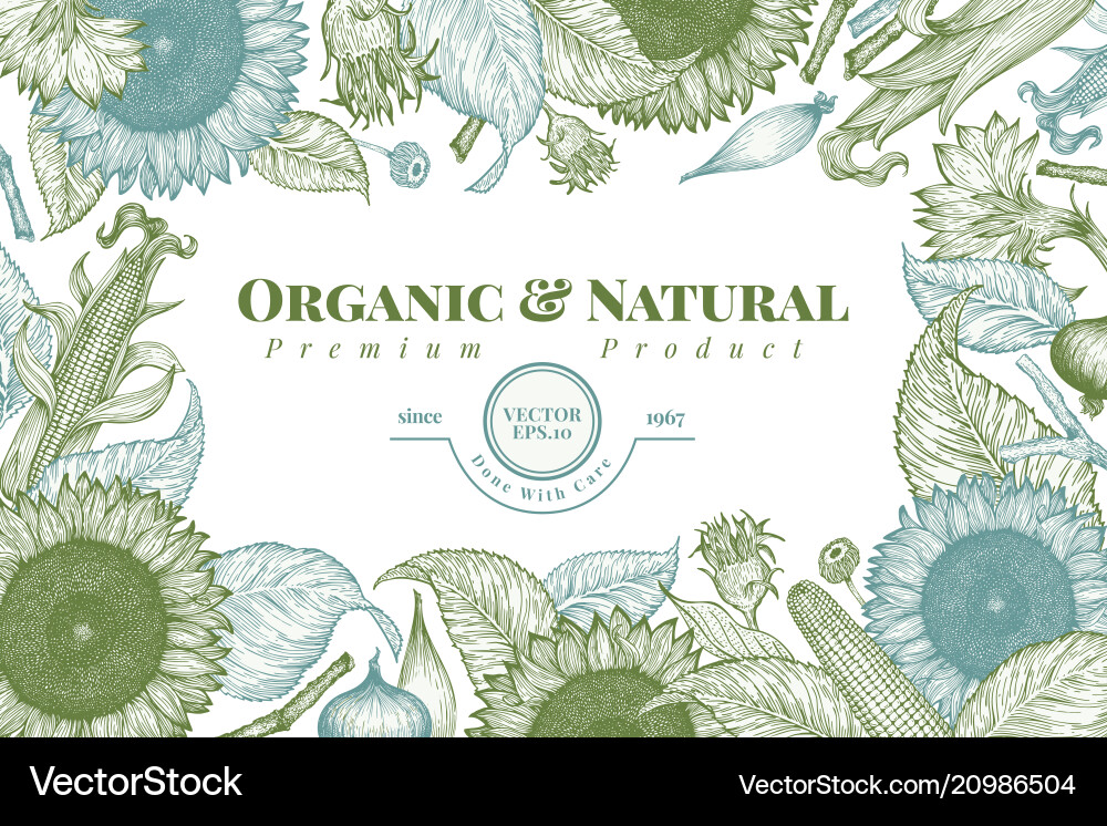 Sunflower and corn frame template Royalty Free Vector Image
