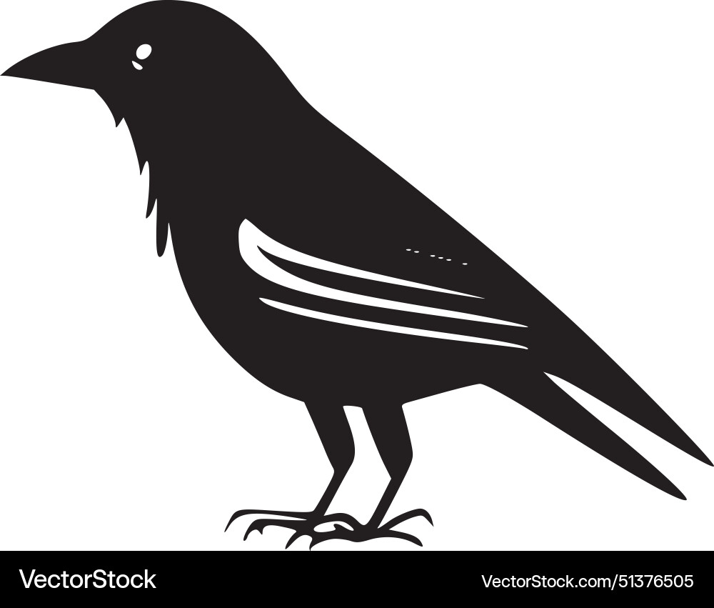 Crow - black and white Royalty Free Vector Image