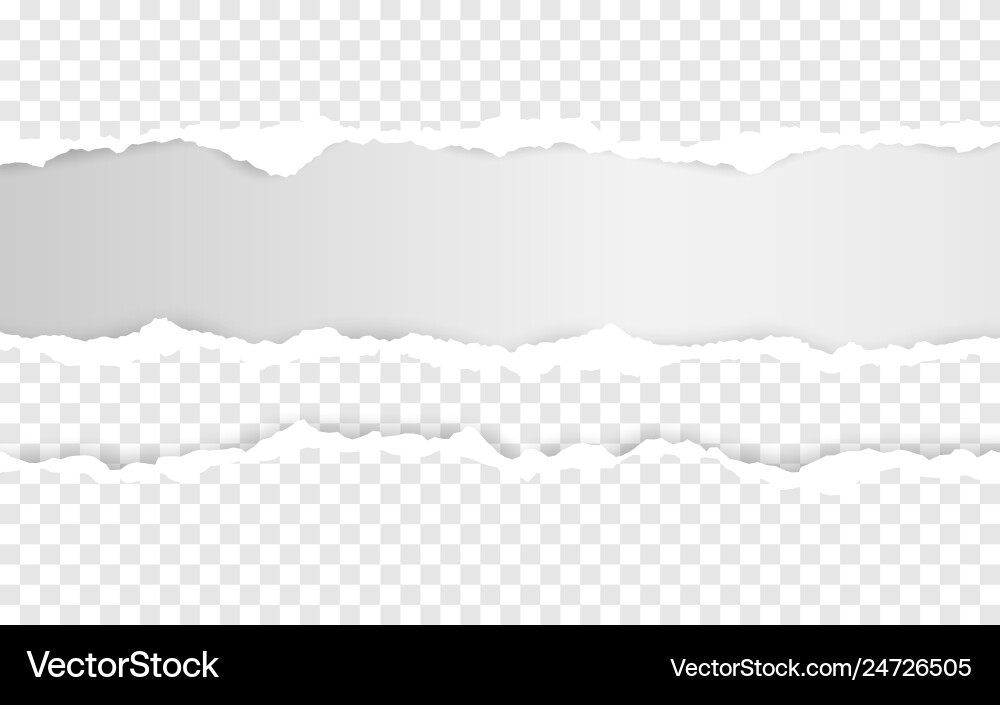 Horizontal torn paper edge ripped squared Vector Image