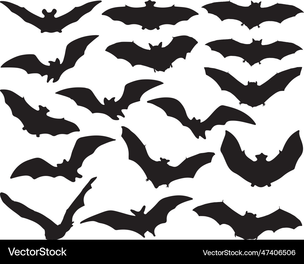 Bats silhouette bundle Royalty Free Vector Image