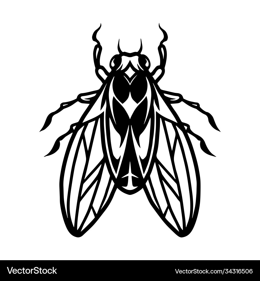 Fly Insect Tattoos