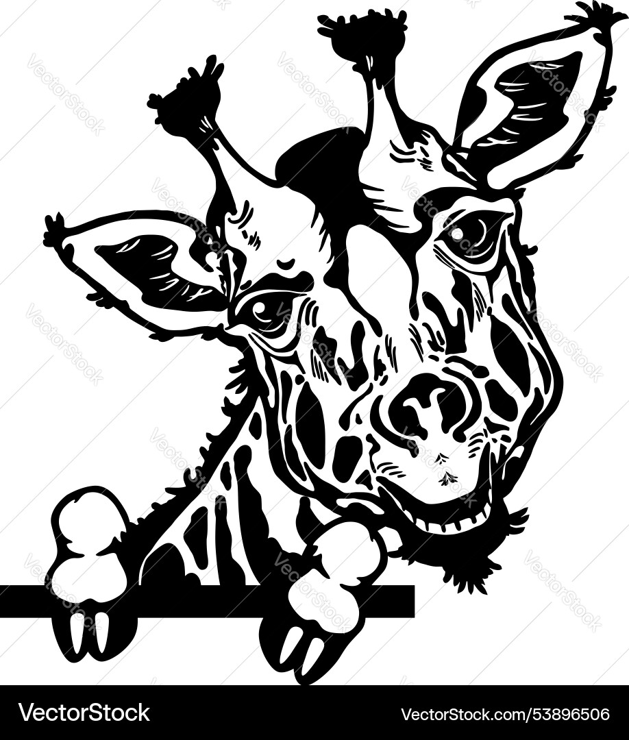 Peeking giraffe - comic animal funny Royalty Free Vector