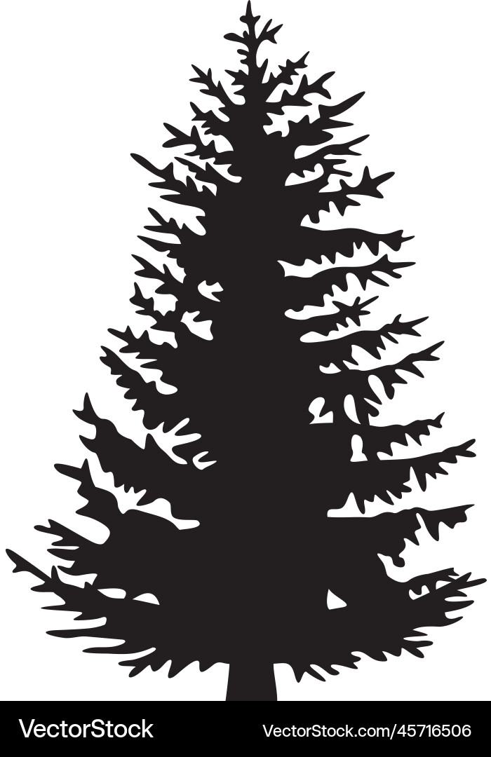 Pine tree black and white Royalty Free Vector Image