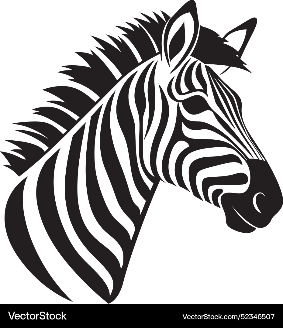 Abstract wildlife zebra mastery Royalty Free Vector Image
